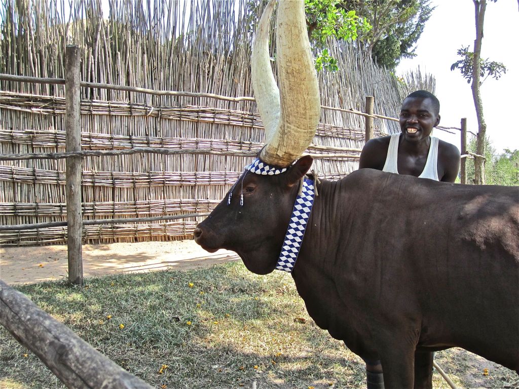 traditional Rwanda building techniques – enclos*ure