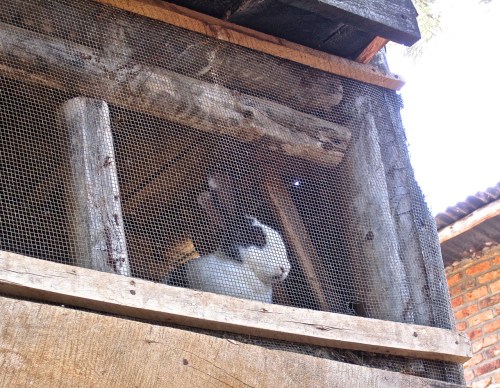 Gako Organic Farming Training Centre – enclos*ure