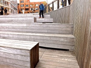 A study in steps: the High Line – enclos*ure