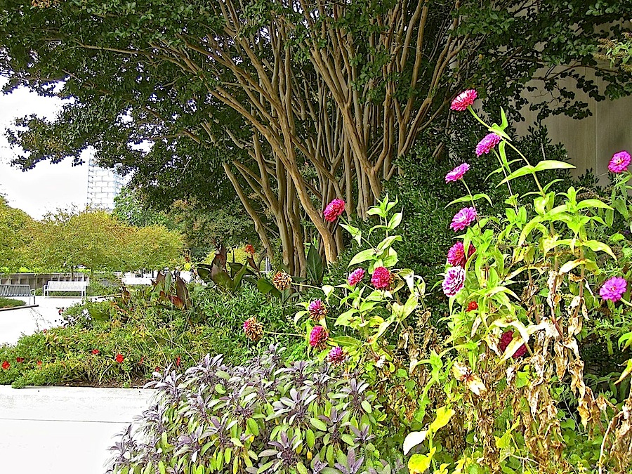 The Heirloom Garden in early fall – enclos*ure