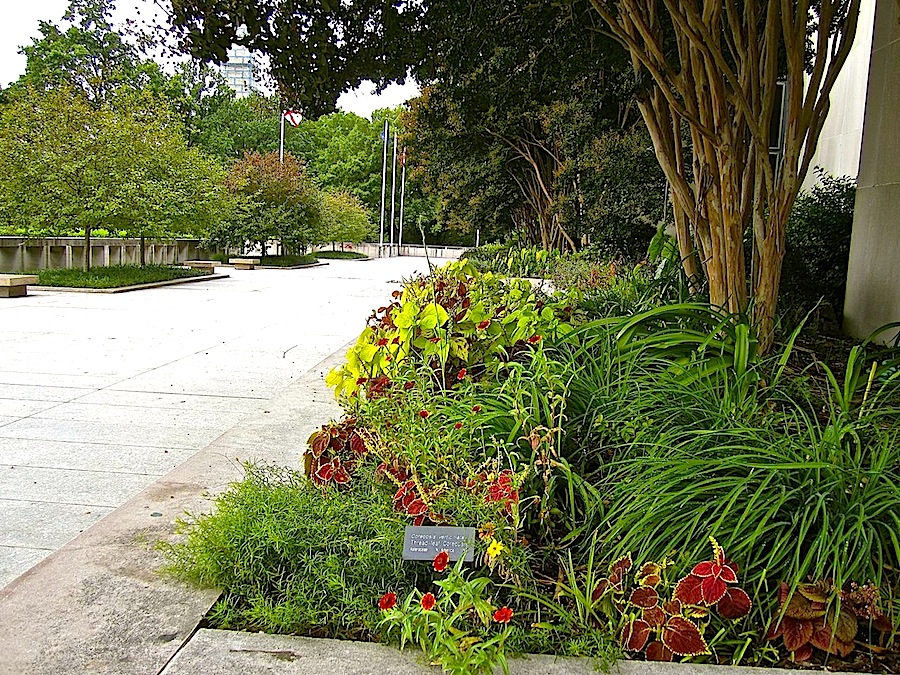 The Heirloom Garden in early fall – enclos*ure
