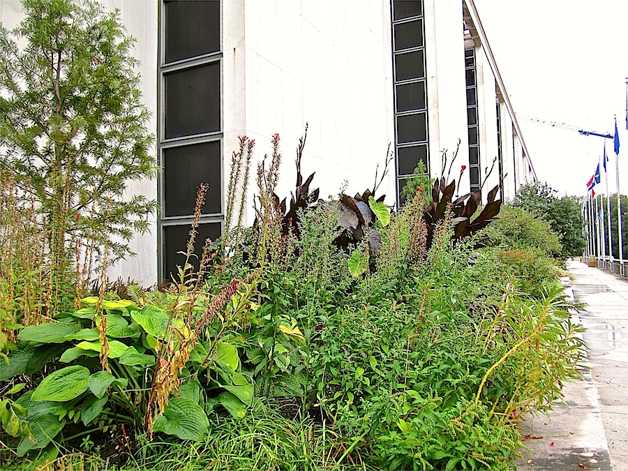 The Heirloom Garden in early fall – enclos*ure