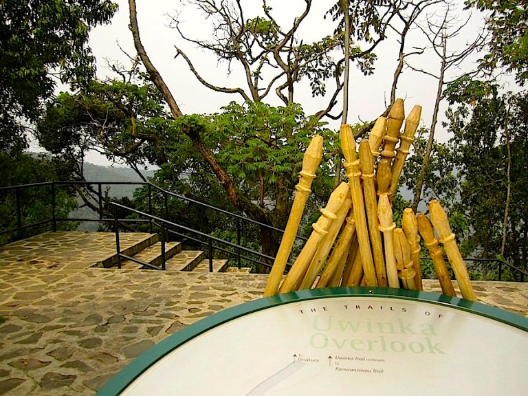 field guide to plants of Nyungwe Forest – enclos*ure