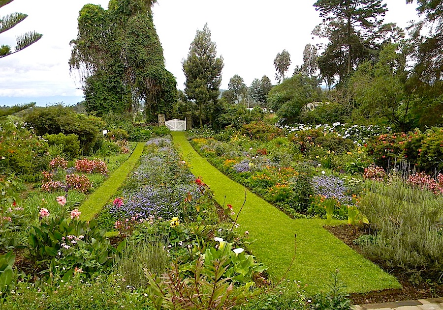 Bloom Day in May: Mugongo – enclos*ure