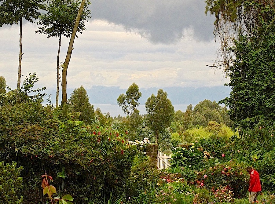 Bloom Day in May: Mugongo – enclos*ure